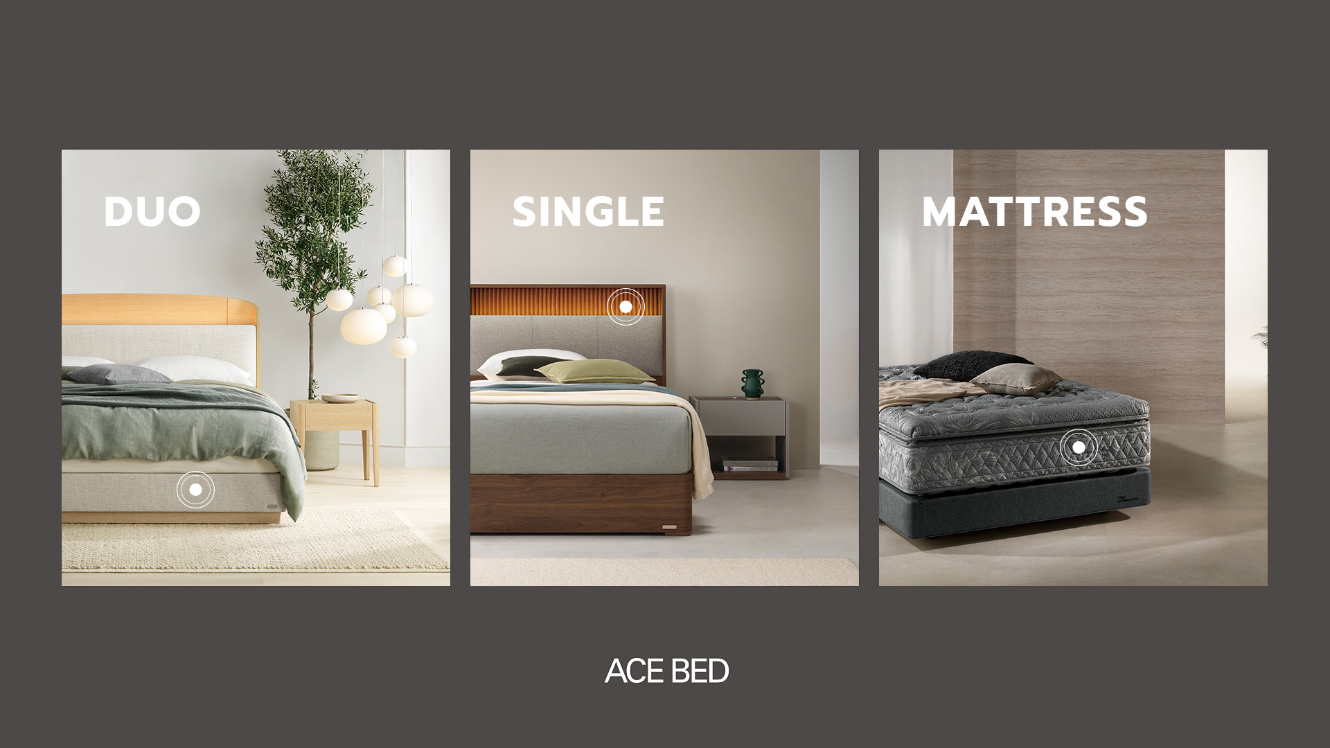 ACE BED